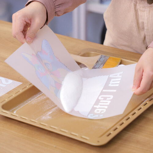 DTF powder | DTF | BestSublimation24.eu